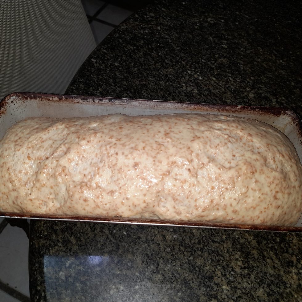 Pan Integral con masa madre alto en fibra el mas saludable - Pan & Horno